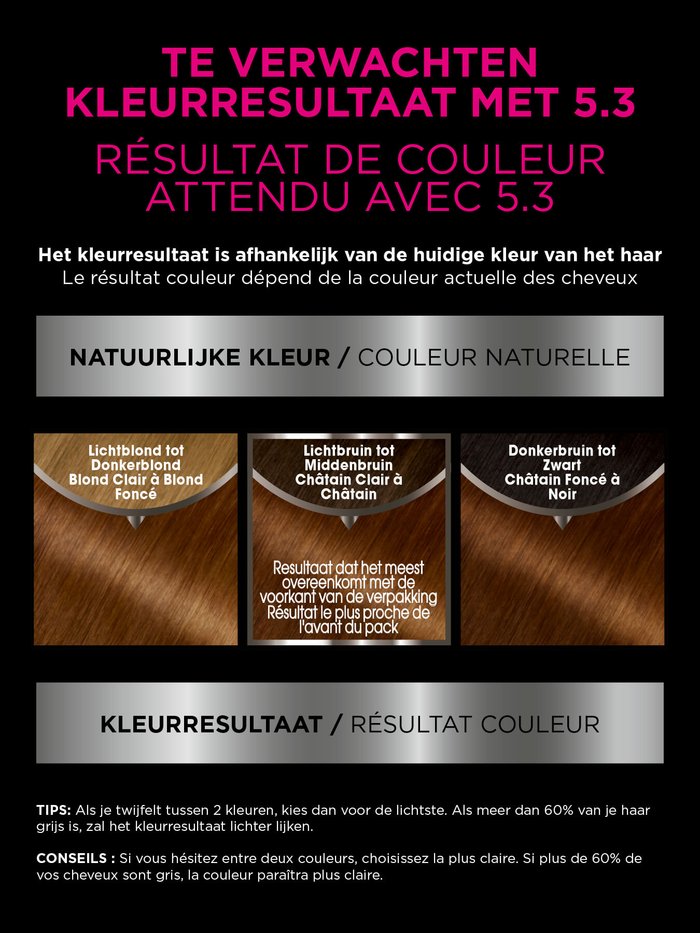 Coloration Cheveux Olia 5.3 Châtain Clair Doré | Garnier